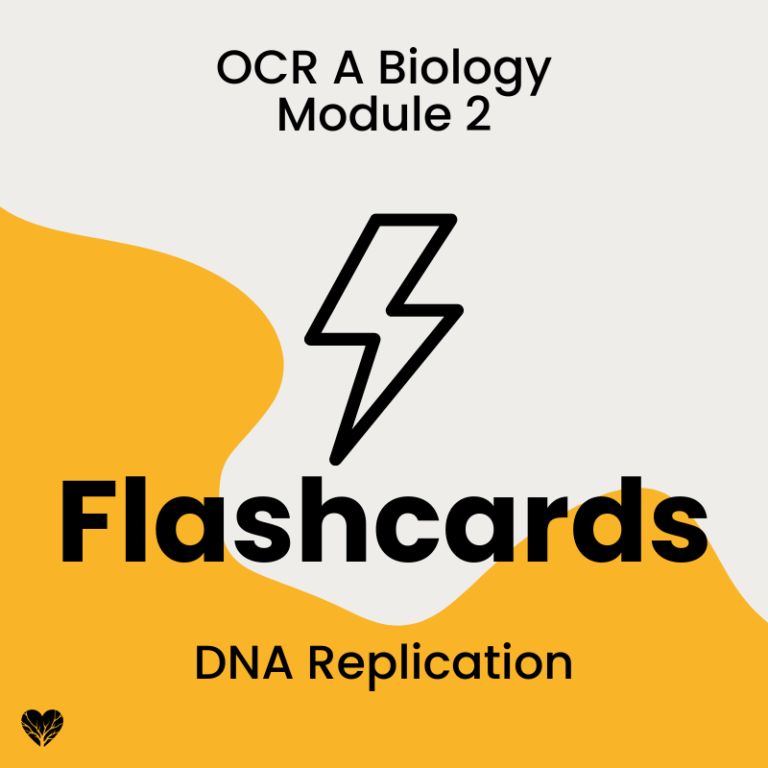 DNA Replication – OCR A Level Biology Flashcards | STEMpathy