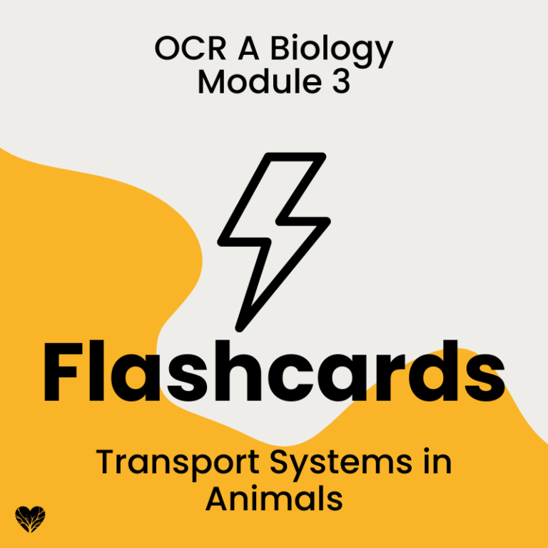 Transport Systems in Animals – OCR A Level Biology Flashcards | STEMpathy
